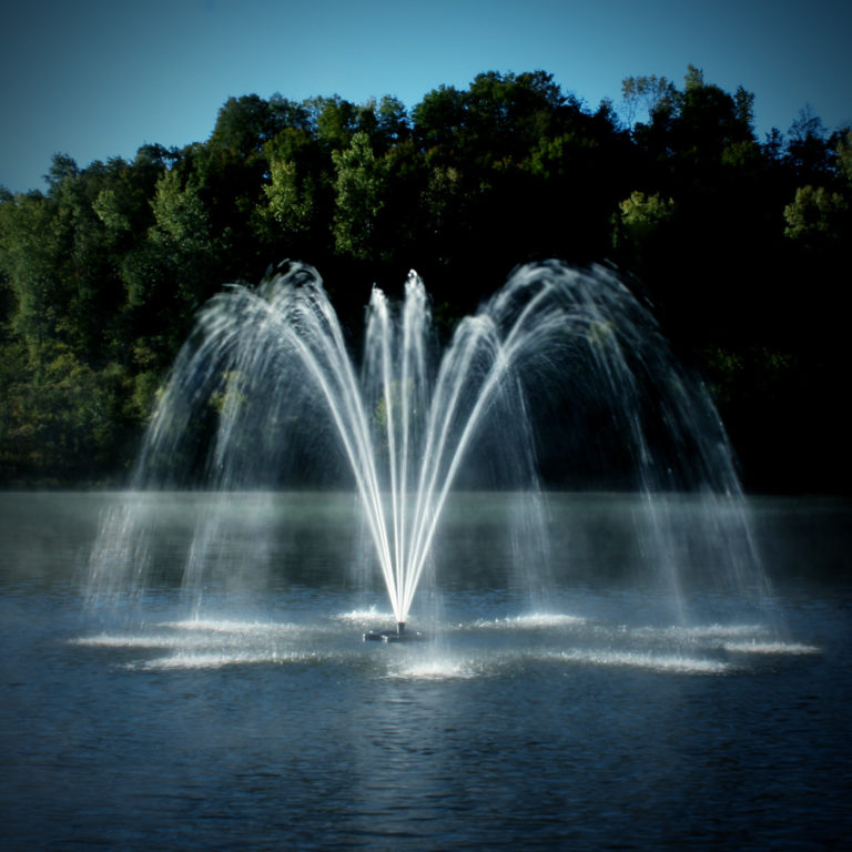 Aesthetic and Recreational Features | Bjornsen Pond Management