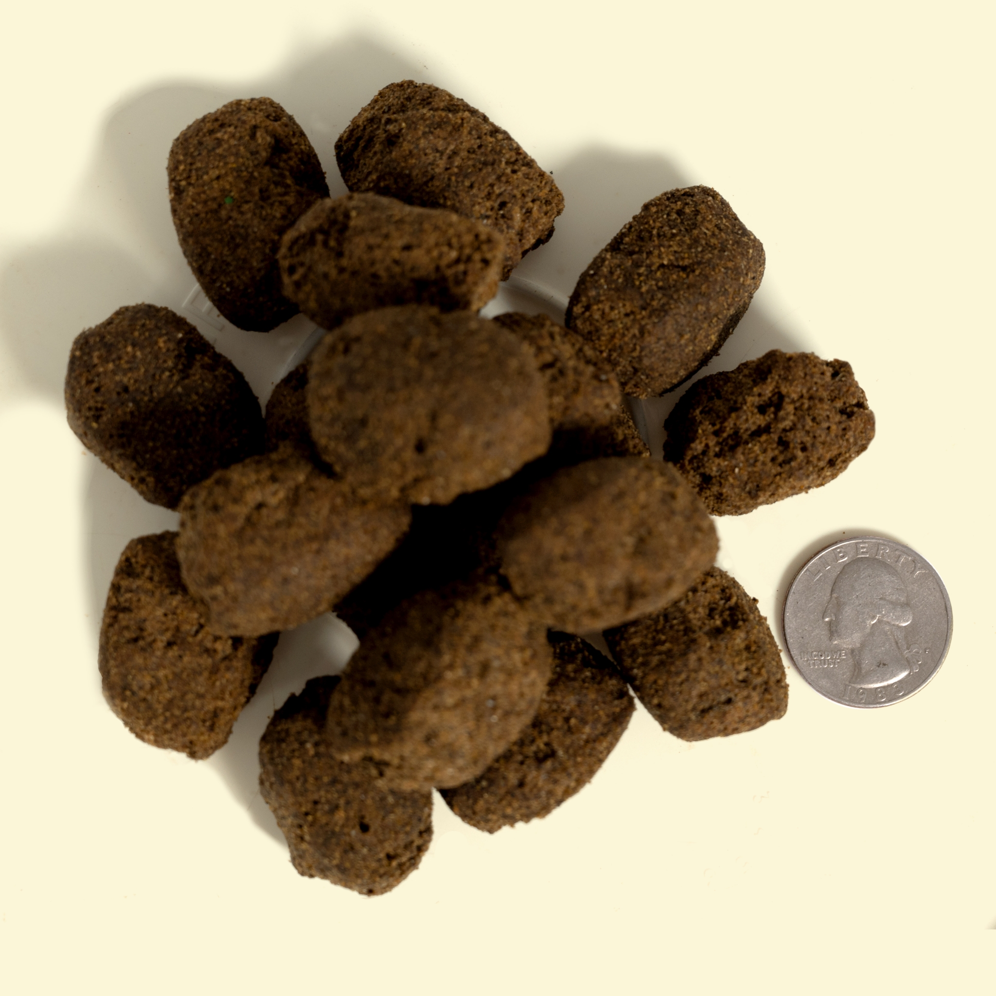 AquaMax Sport Fish Largemouth Fish Food – 5 lb. Bag | Bjornsen Pond ...