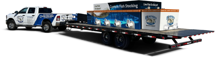 Iowa Fish Stocking | Bjornsen Pond Management