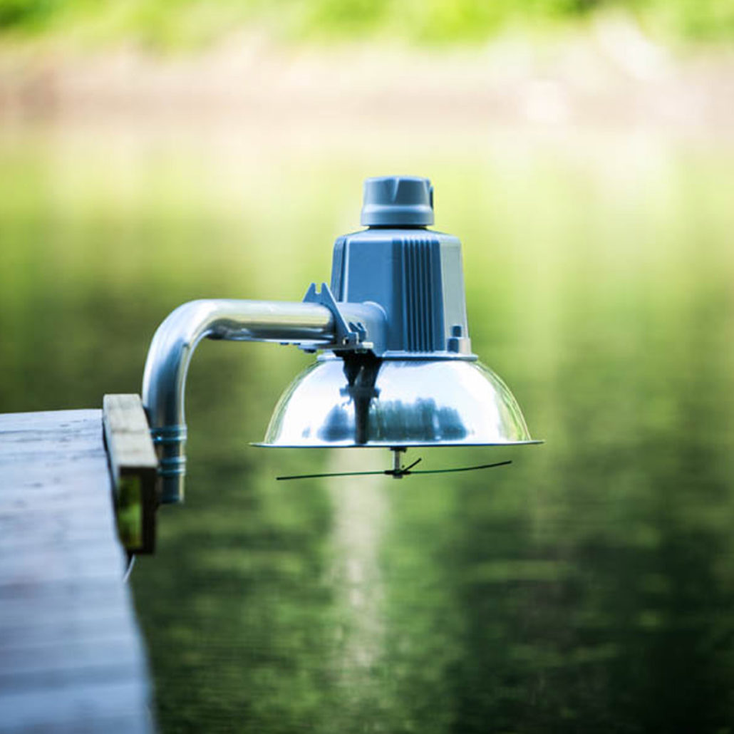 BoJo Fishlight | Bjornsen Pond Management