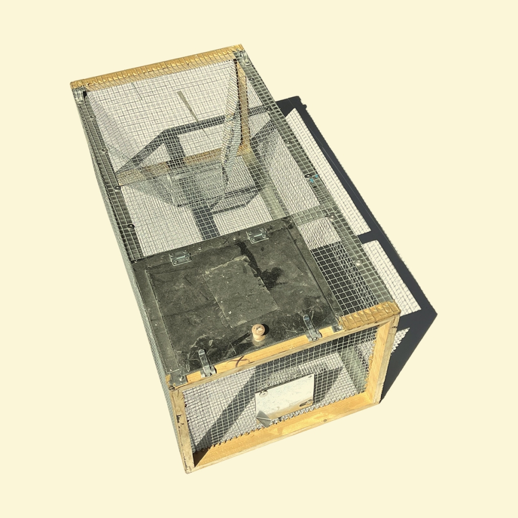 Catfish-Bullhead Trap | Bjornsen Pond Management