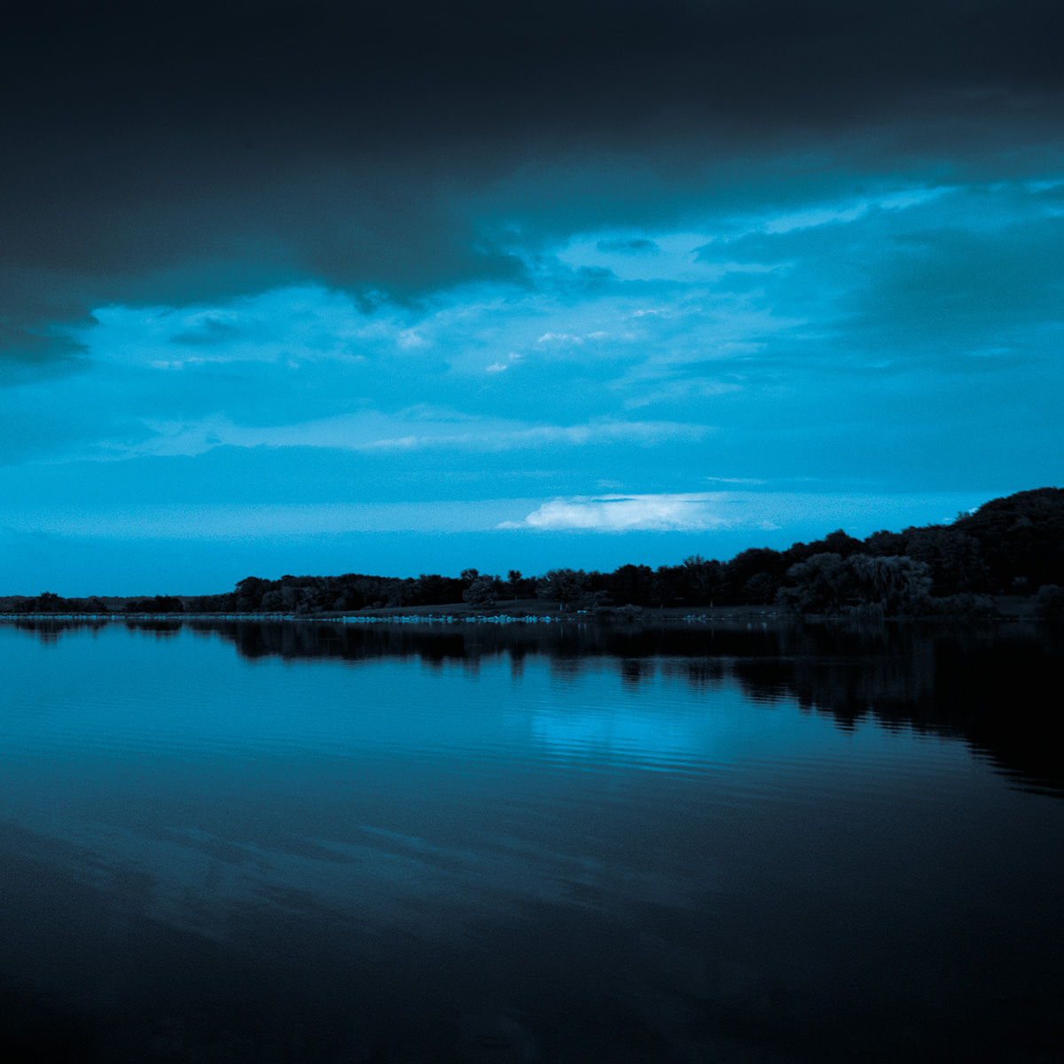 Gift Ideas | Bjornsen Pond Management