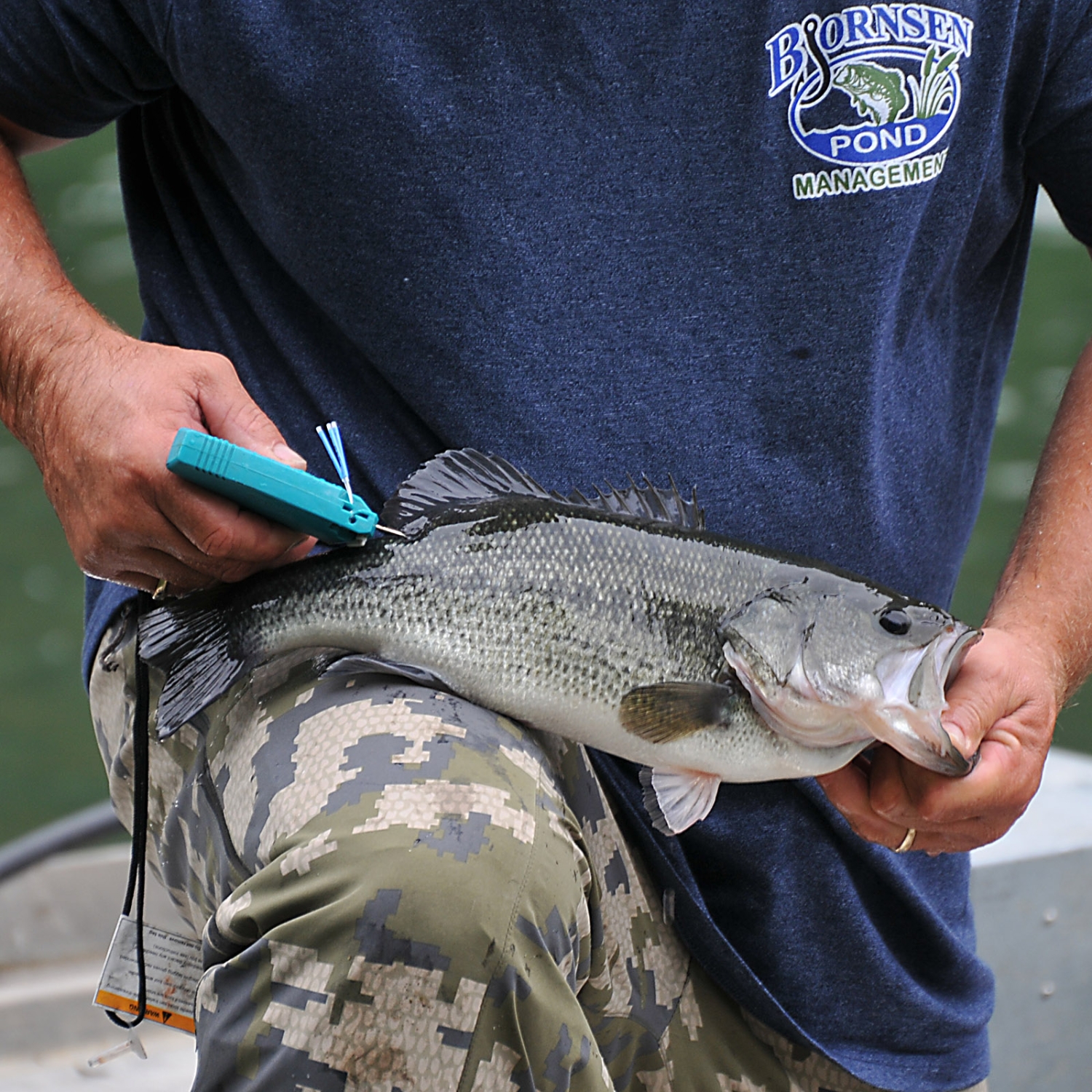 Gamefish Tagging Pro Kit | Bjornsen Pond Management