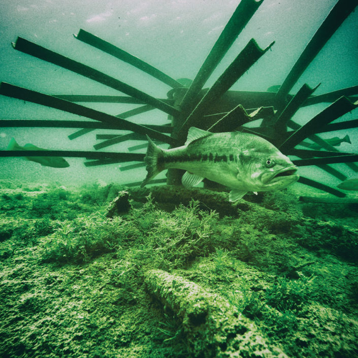 MossBack Root Wad Kit | Bjornsen Pond Management