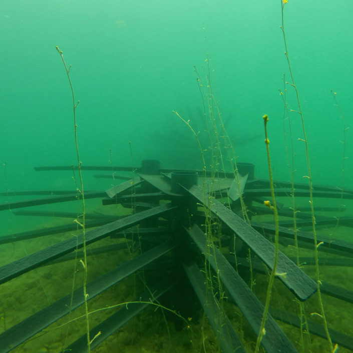 MossBack Root Wad Kit | Bjornsen Pond Management