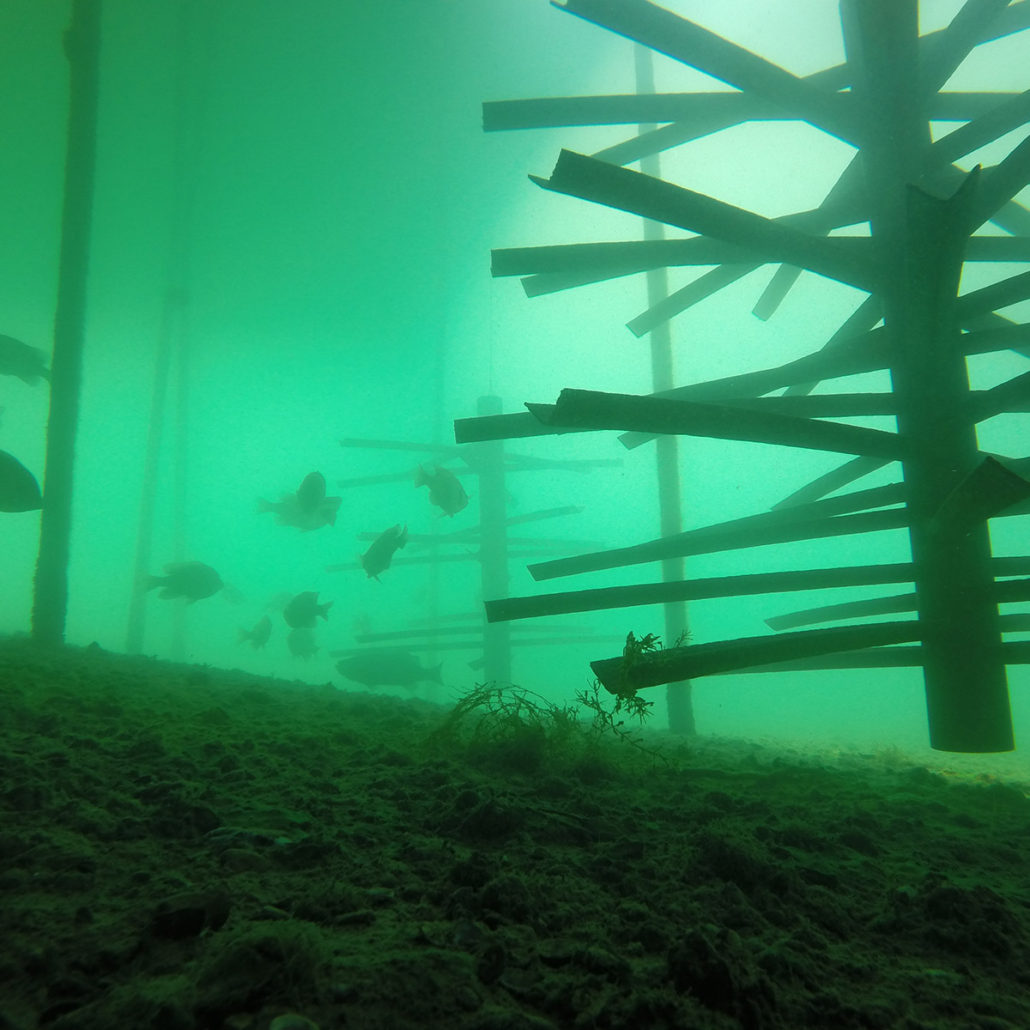 MossBack Dock Pro Kit | Bjornsen Pond Management