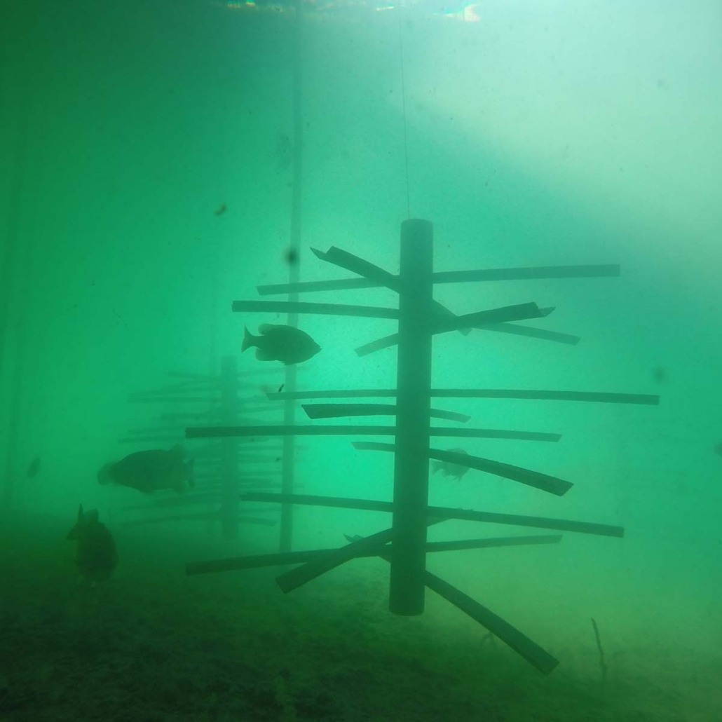 MossBack Fish City | Bjornsen Pond Management