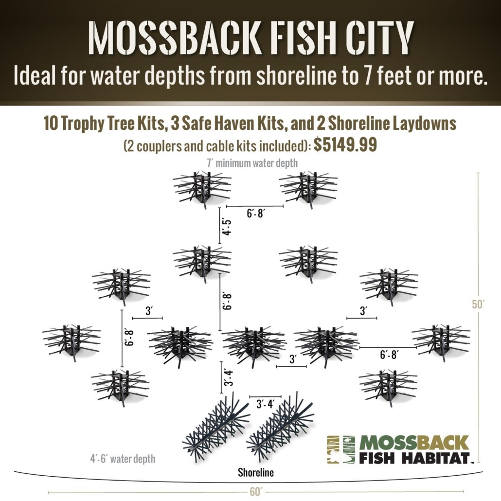 MossBack Fish City | Bjornsen Pond Management