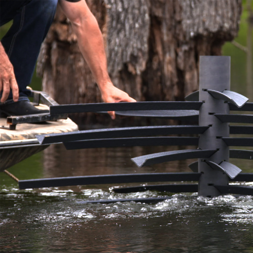 MossBack Safe Haven | Bjornsen Pond Management