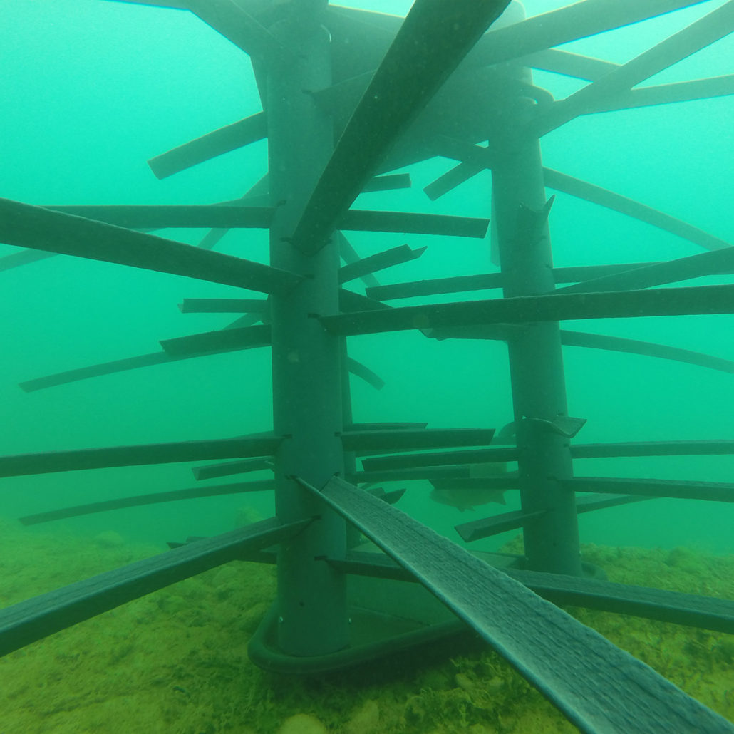 MossBack Trophy Tree XL | Bjornsen Pond Management