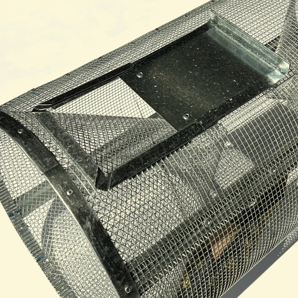 Perch and Bait Trap | Bjornsen Pond Management